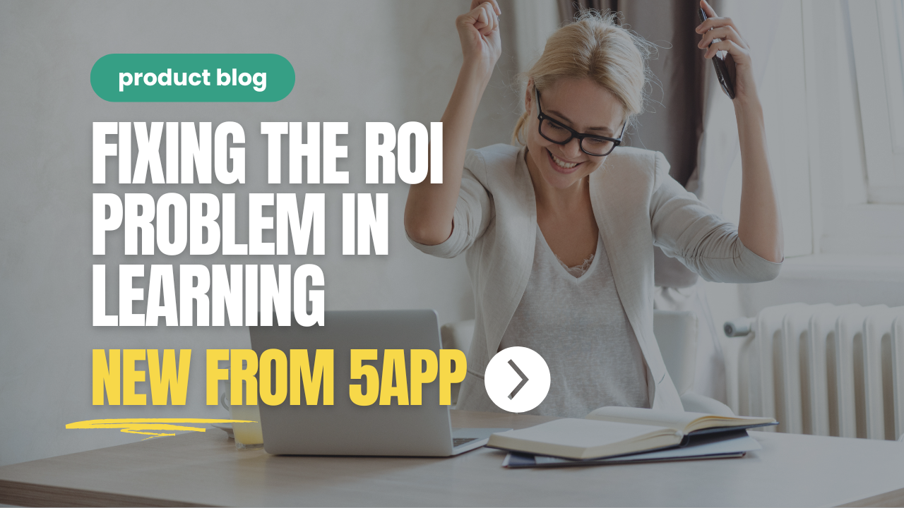 Fixing the ROI problem in learning with AI